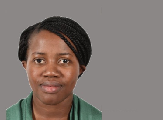 Life Assurance – ICEA LION – KENYA